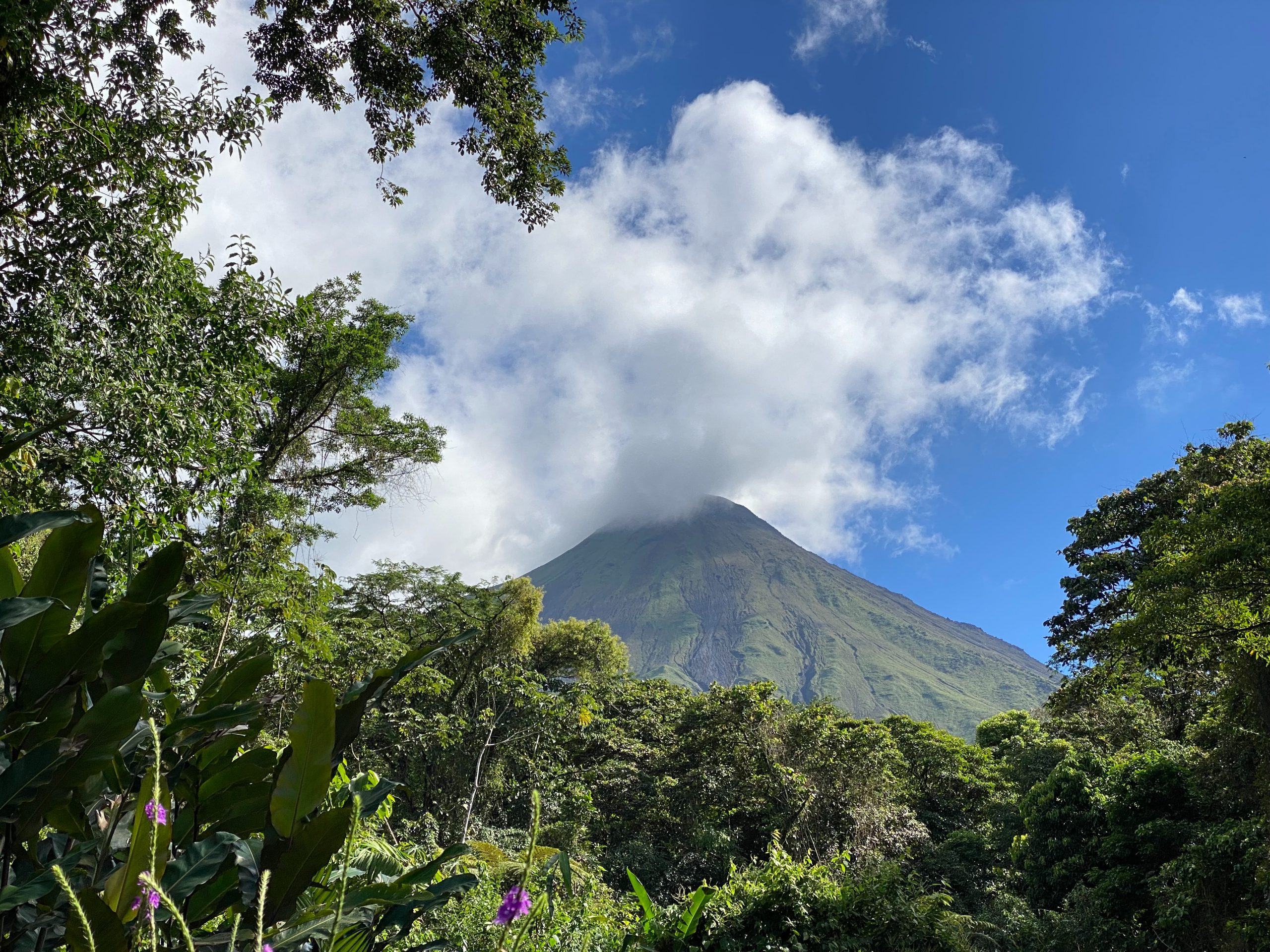 arenal observatory lodge